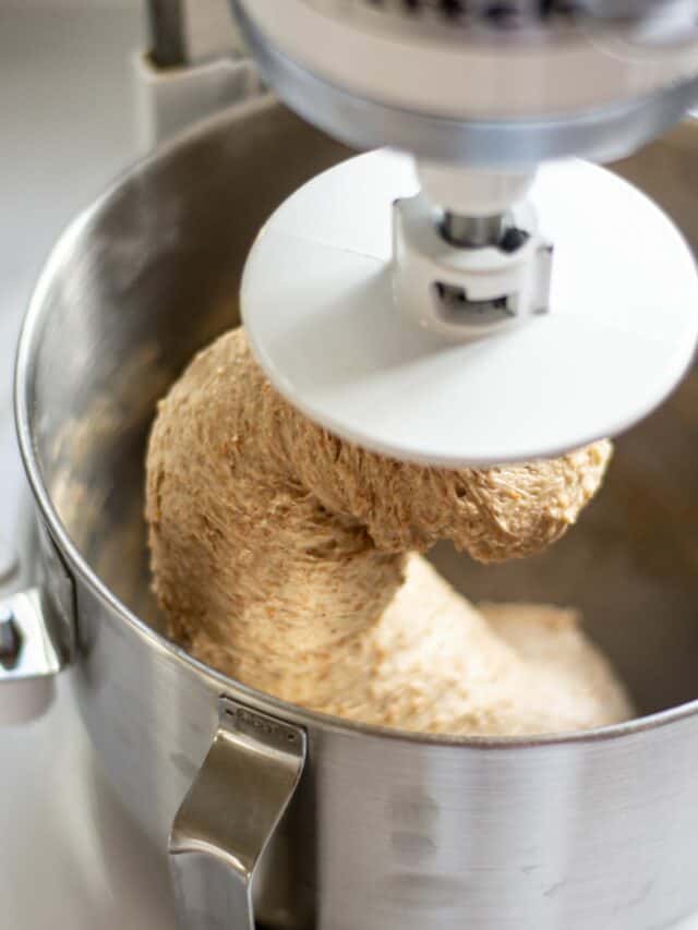 Fluffy Whole Wheat Dinner Rolls - Baking with Butter
