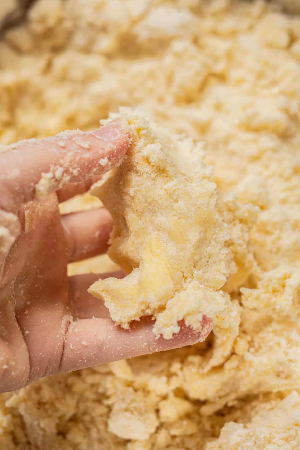 How To Make Boterkoek - Dutch Butter Cake - Baking with Butter