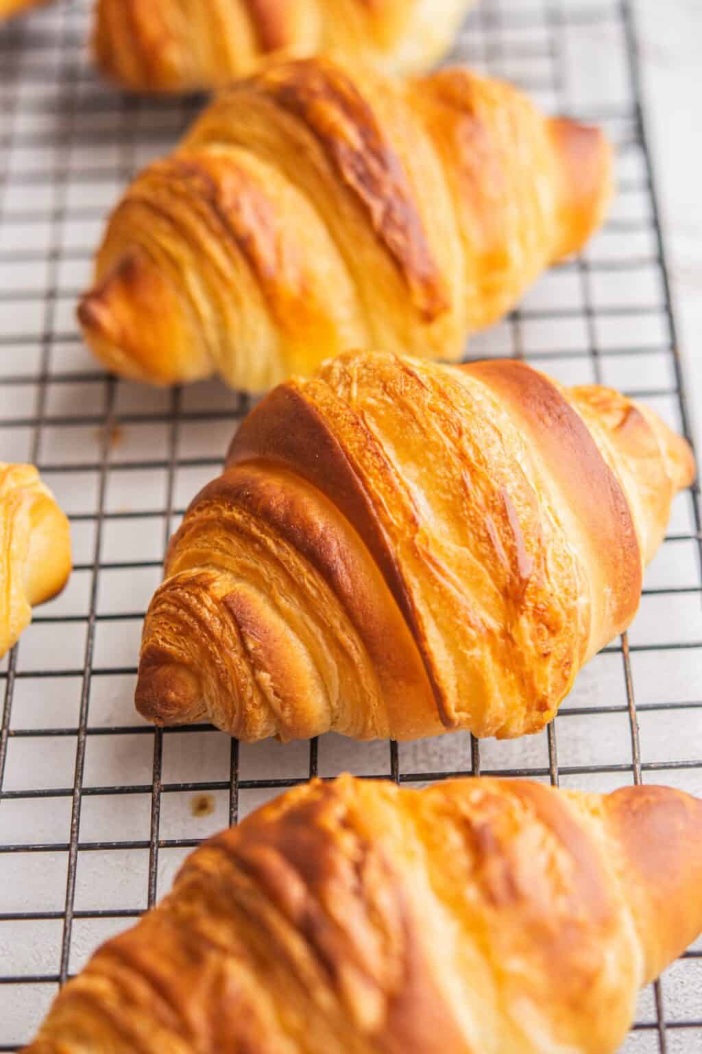 Homemade Croissants Step-by-Step - Baking with Butter